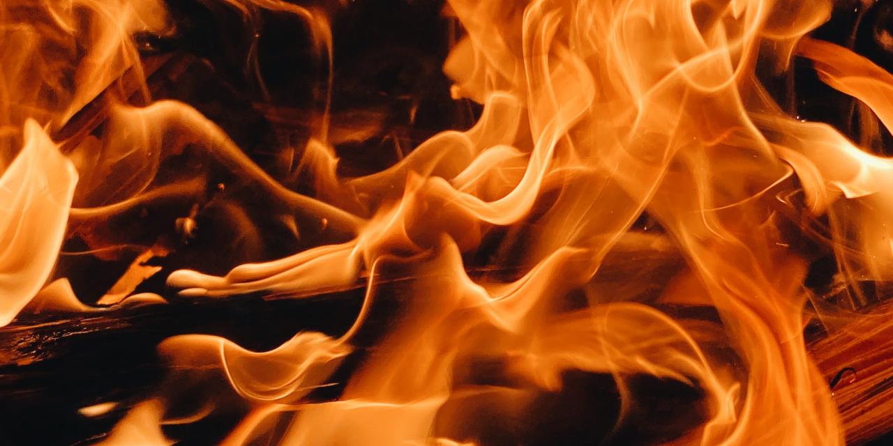 La domestication du feu : un événement décisif de l’aventure humaine ...