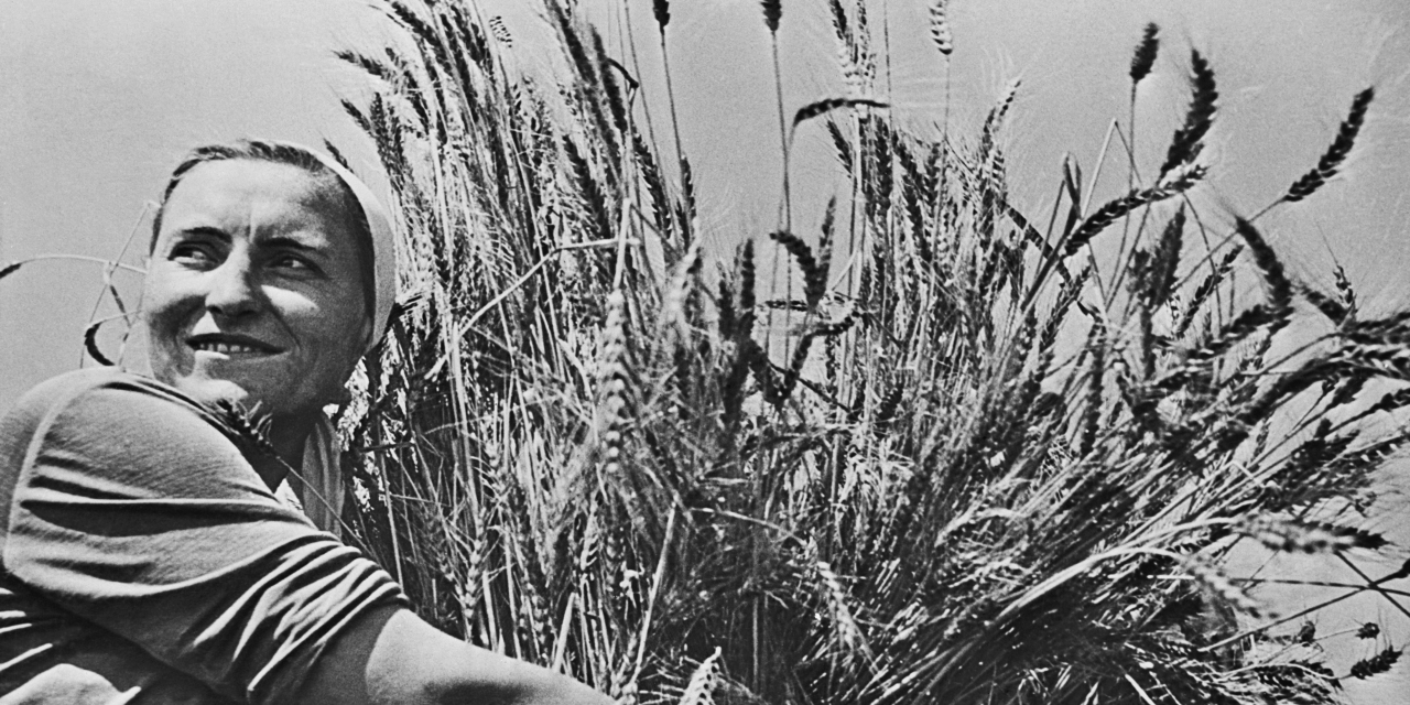 L’affaire Lyssenko et l’erreur de l’agronomie soviétique des années ...